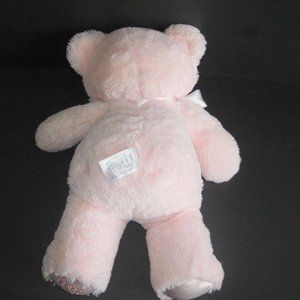Gund | Toys | Baby Gund My First Teddy Pink Bear Plush Toy | Poshmark